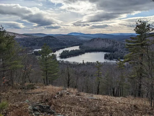 Best Hikes and Trails in Five Kezar Ponds Reserve | AllTrails