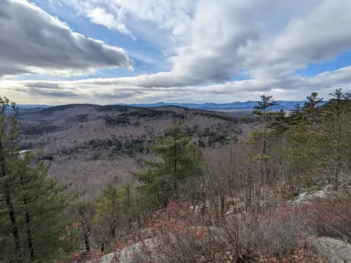 Best Hikes and Trails in Five Kezar Ponds Reserve | AllTrails