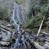 Mingo Falls Trail, North Carolina - 1,610 Reviews, Map | AllTrails