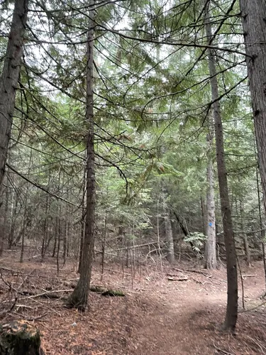 Best Hikes and Trails in Hauser Conservation Area | AllTrails