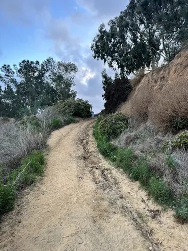 2023 Best Dog Friendly Trails in Encinitas | AllTrails