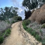 Encinitas Ranch Trail, California - 859 Reviews, Map | AllTrails
