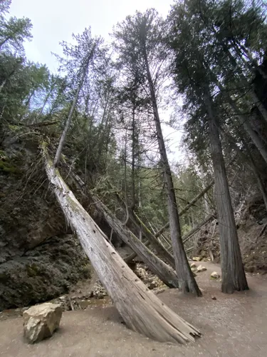 Best Moderate Trails in Herald Provincial Park | AllTrails