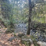 Ritchey Canyon Trail and Coyote Peak, California - 1,068 Reviews, Map ...