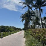 Miami Beach Bike and Boardwalk Trail, Florida - 1,150 Reviews, Map ...