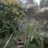 Murphy Ranch Trail, California - 3,515 Reviews, Map | AllTrails