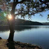 Bon Tempe Lake Loop, California - 1,806 Reviews, Map | AllTrails