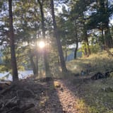 Bon Tempe Lake Loop, California - 1,806 Reviews, Map | AllTrails