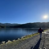 Bon Tempe Lake Loop, California - 1,806 Reviews, Map | AllTrails