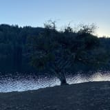 Bon Tempe Lake Loop, California - 1,806 Reviews, Map | AllTrails
