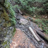 Pyramid Mountain Trail, Washington - 539 Reviews, Map | AllTrails