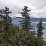 Pyramid Mountain Trail, Washington - 539 Reviews, Map | AllTrails
