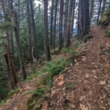 Pyramid Mountain Trail, Washington - 539 Reviews, Map | AllTrails