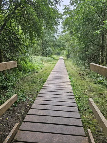 Best Hikes and Trails in Blythe Valley Park | AllTrails