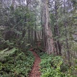 Pyramid Mountain Trail, Washington - 539 Reviews, Map | AllTrails