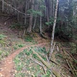 Pyramid Mountain Trail, Washington - 583 Reviews, Map | AllTrails