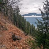 Pyramid Mountain Trail, Washington - 586 Reviews, Map | AllTrails