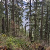 Pyramid Mountain Trail, Washington - 586 Reviews, Map | AllTrails