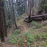 Pyramid Mountain Trail, Washington - 586 Reviews, Map | AllTrails