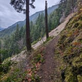 Pyramid Mountain Trail, Washington - 586 Reviews, Map | AllTrails
