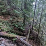 Pyramid Mountain Trail, Washington - 586 Reviews, Map | AllTrails