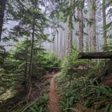 Pyramid Mountain Trail, Washington - 586 Reviews, Map | AllTrails