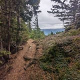 Pyramid Mountain Trail, Washington - 586 Reviews, Map | AllTrails