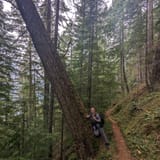 Pyramid Mountain Trail, Washington - 586 Reviews, Map | AllTrails