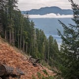 Pyramid Mountain Trail, Washington - 586 Reviews, Map | AllTrails