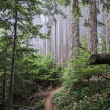 Pyramid Mountain Trail, Washington - 586 Reviews, Map | AllTrails