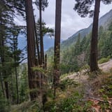 Pyramid Mountain Trail, Washington - 609 Reviews, Map | AllTrails