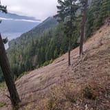 Pyramid Mountain Trail, Washington - 609 Reviews, Map | AllTrails