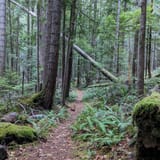 Pyramid Mountain Trail, Washington - 609 Reviews, Map | AllTrails