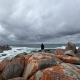 Skeleton Bay to Skeleton Point, Tasmania, Australia - 69 Reviews, Map ...