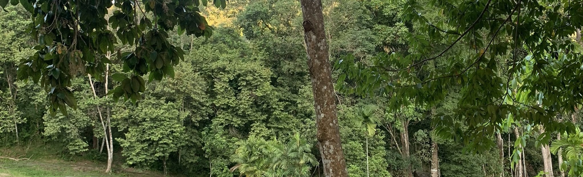 Sungai Batu Pahat, Kedah, Malaysia - Map, Guide | AllTrails