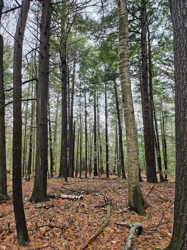 Best Hikes and Trails in Red Rocks Park | AllTrails