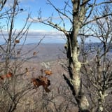Priest Summit via Crabtree Meadows, Virginia - 161 Reviews, Map | AllTrails