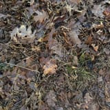 Priest Summit via Crabtree Meadows, Virginia - 161 Reviews, Map | AllTrails
