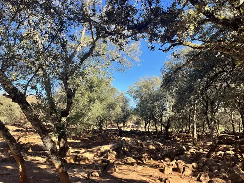 10 Best Hikes and Trails in Sierra Norte de Sevilla Nature Park | AllTrails