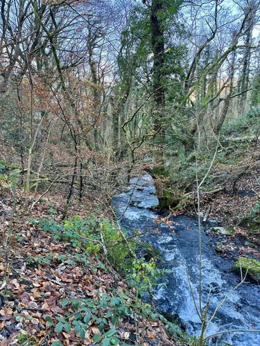 2023 Best Long Trails in Cwmcarn Forest | AllTrails