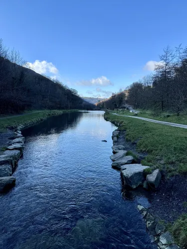 2023 Best Long Trails in Cwmcarn Forest | AllTrails
