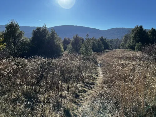 Best Hikes and Trails in Colgate Lake Wild Forest | AllTrails