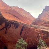 Middle Fork Taylor Creek Trail, Utah - 2,956 Reviews, Map | AllTrails