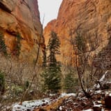 Middle Fork Taylor Creek Trail, Utah - 2,956 Reviews, Map | AllTrails