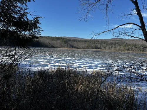 Best 10 Hiking Trails in Clarksburg State Park | AllTrails