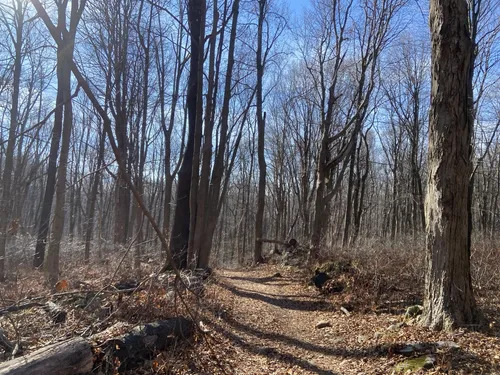 Best Hikes and Trails in Weldon Brook Wildlife Management Area | AllTrails