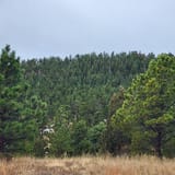 Elk Meadow, Colorado - 1,392 Reviews, Map | AllTrails