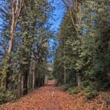 Alger Alps, Washington - 511 Reviews, Map | AllTrails