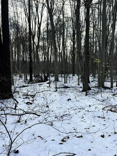 Best Hikes and Trails in Frohring Meadows | AllTrails