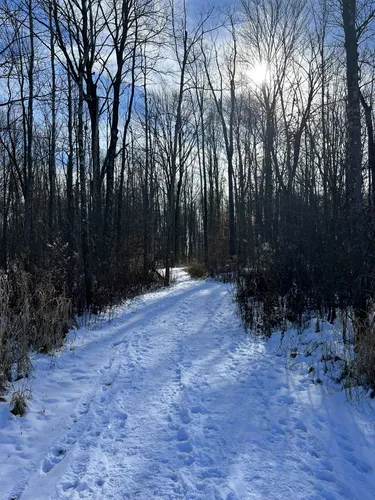 Best Hikes and Trails in Frohring Meadows | AllTrails
